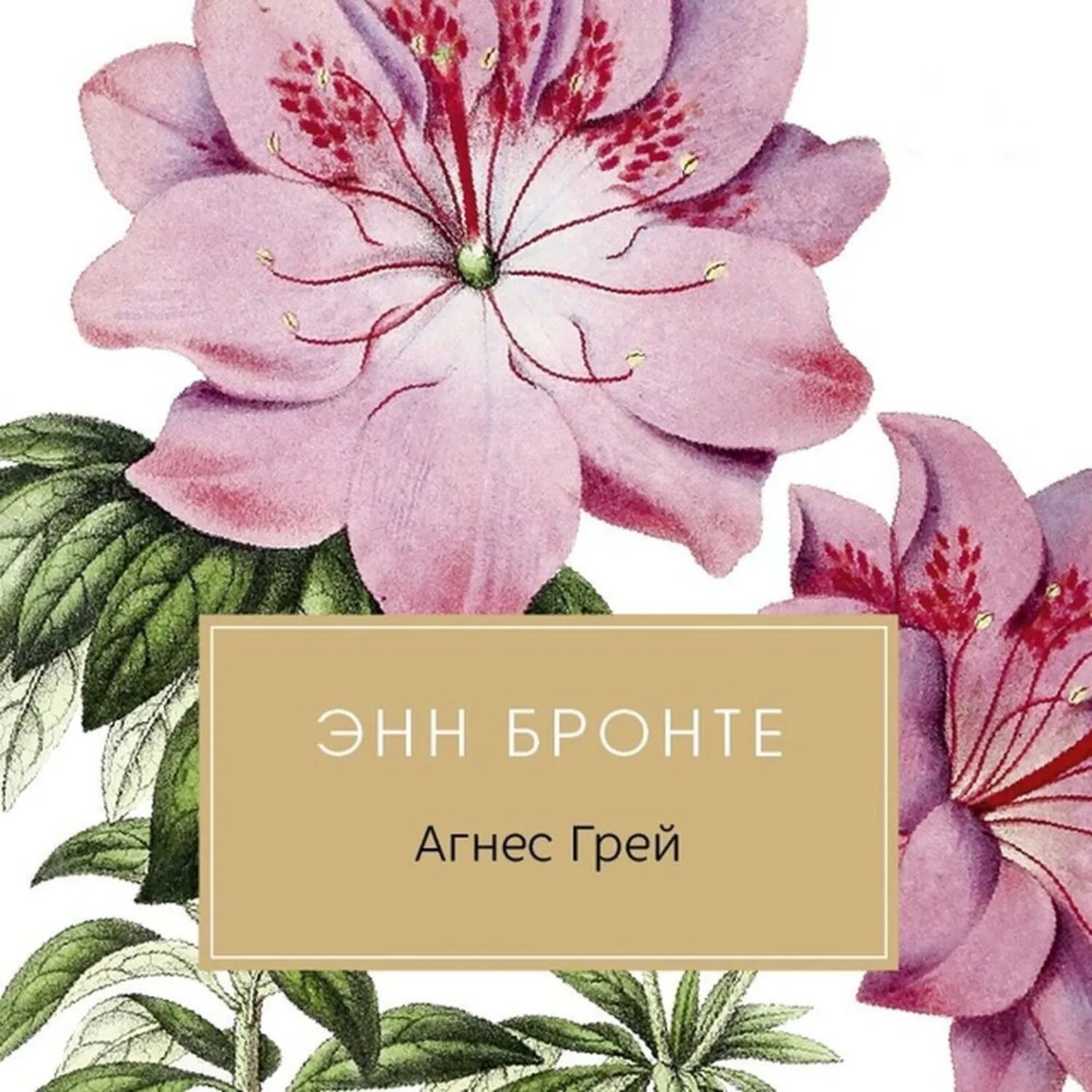 Агнес Грей [Аудиокнига]