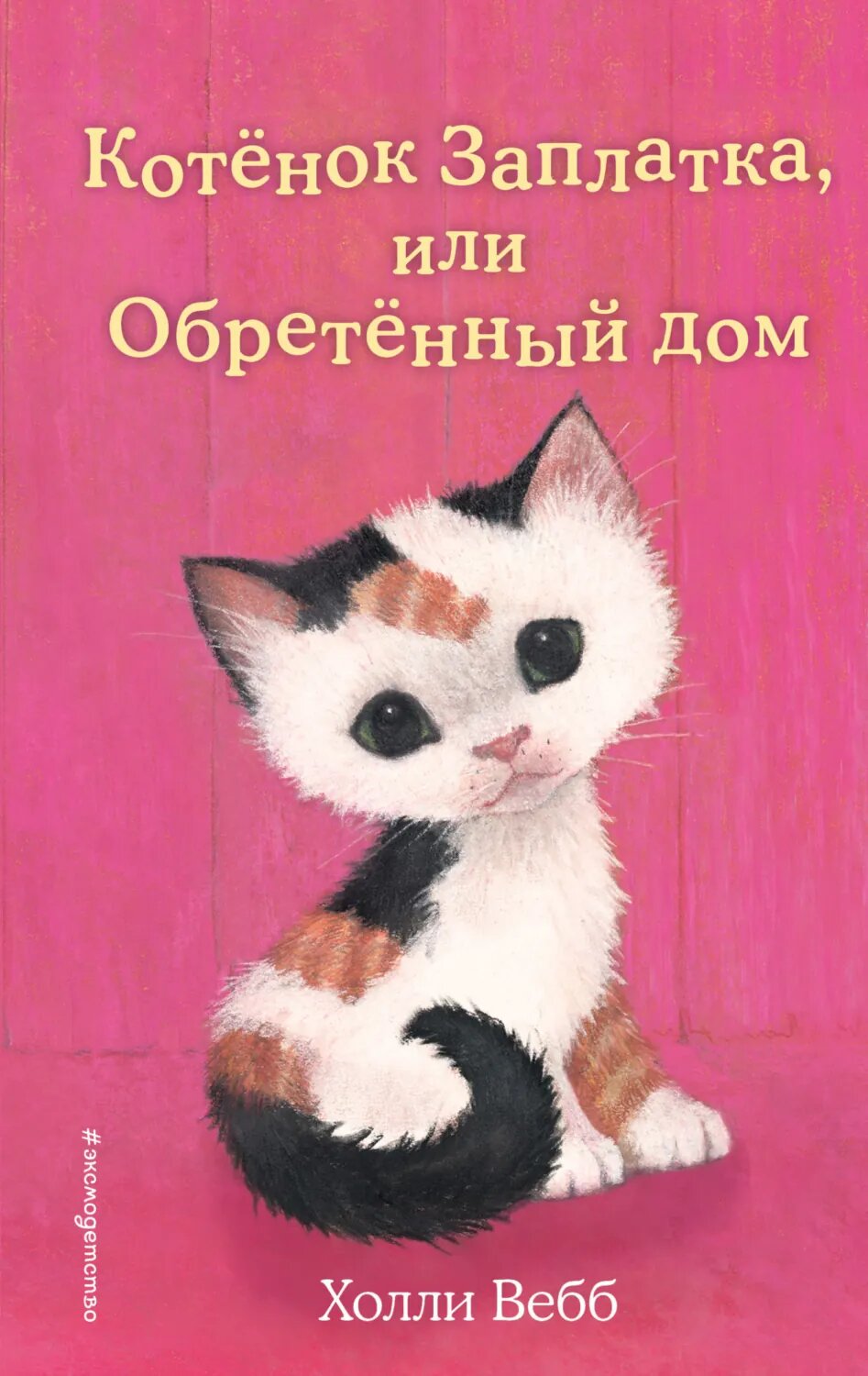Котёнок Заплатка, или Обретённый дом [Цифровая книга]