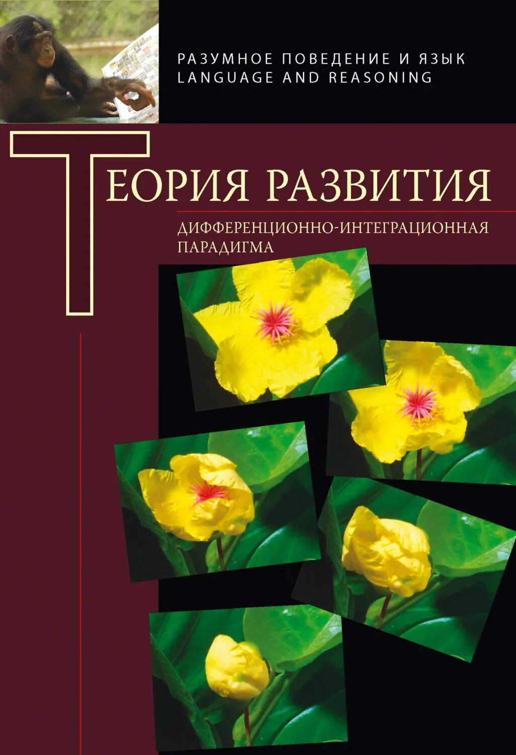 Теория развития. Дифференциально-интеграционная парадигма [Цифровая книга]