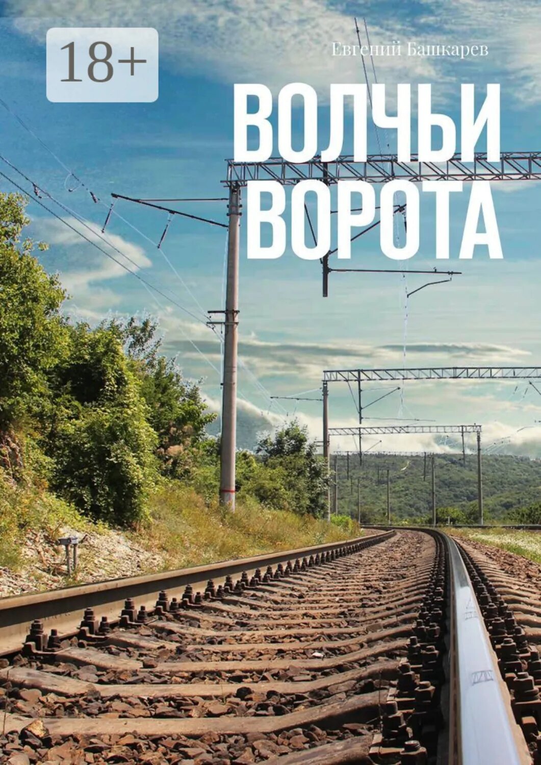 Волчьи ворота [Цифровая книга]