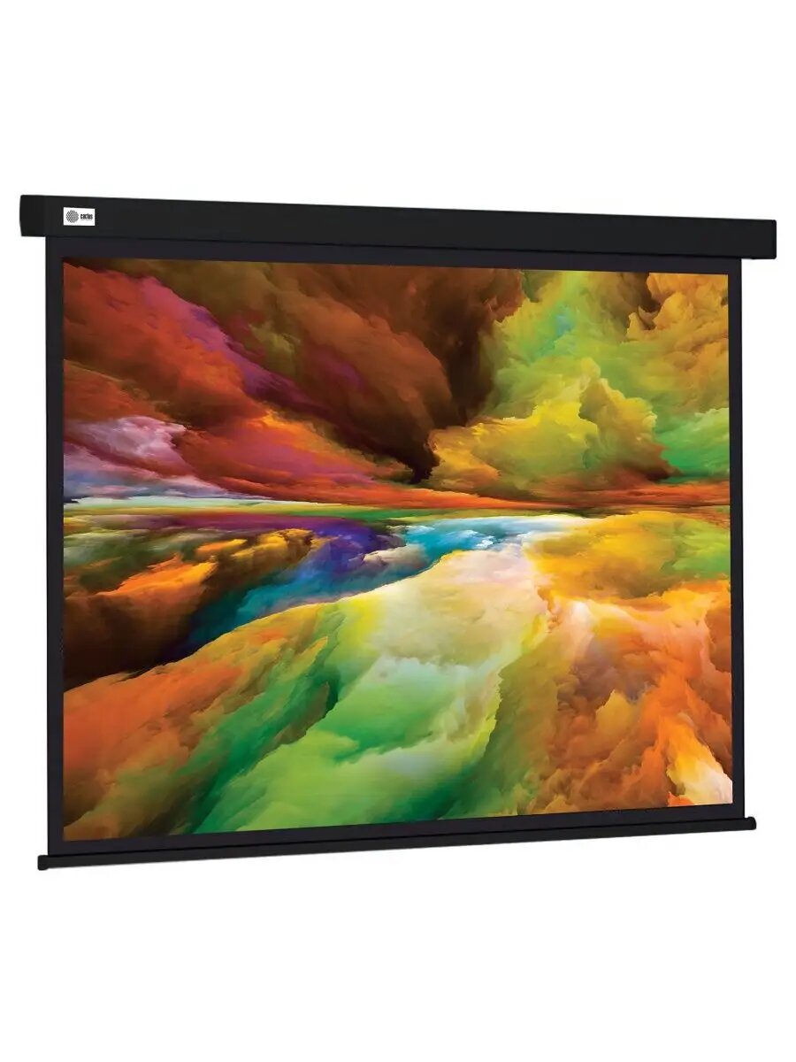 Экран для проектора Cactus Wallscreen CS-PSW-206X274-BK, 4:3, 206 x 274 см, диагональ 135 дюймов (343 см), черный