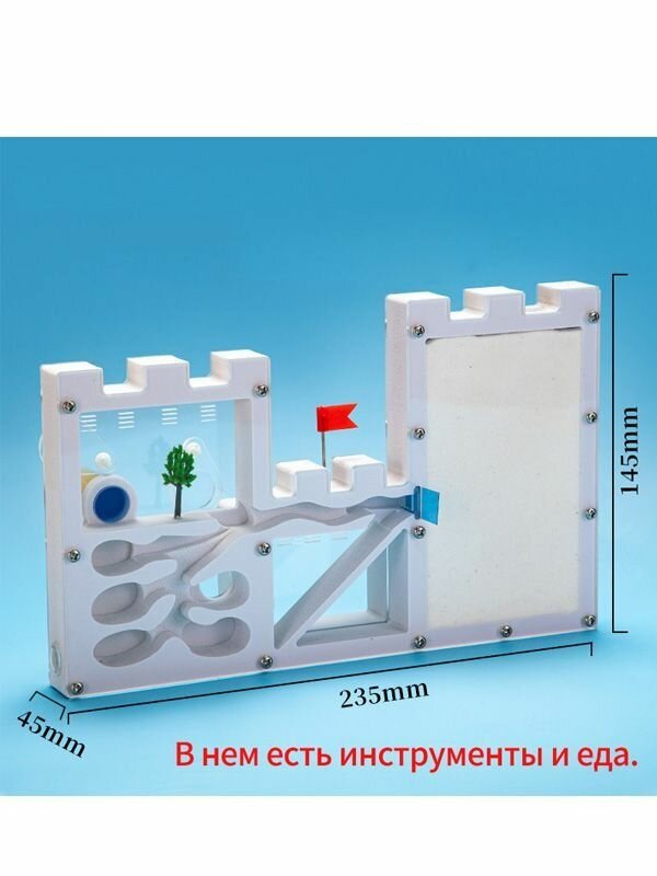 Муравьиная ферма — фото 1