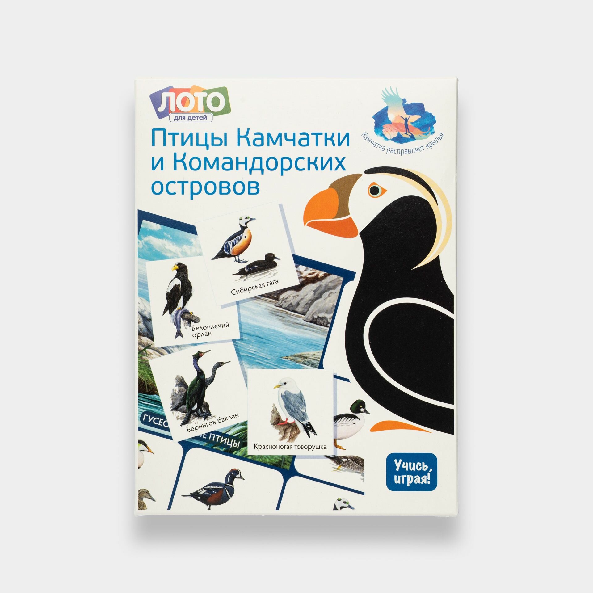 Настольная детская игра "Лото: Птицы Камчатки и Командорских островов"