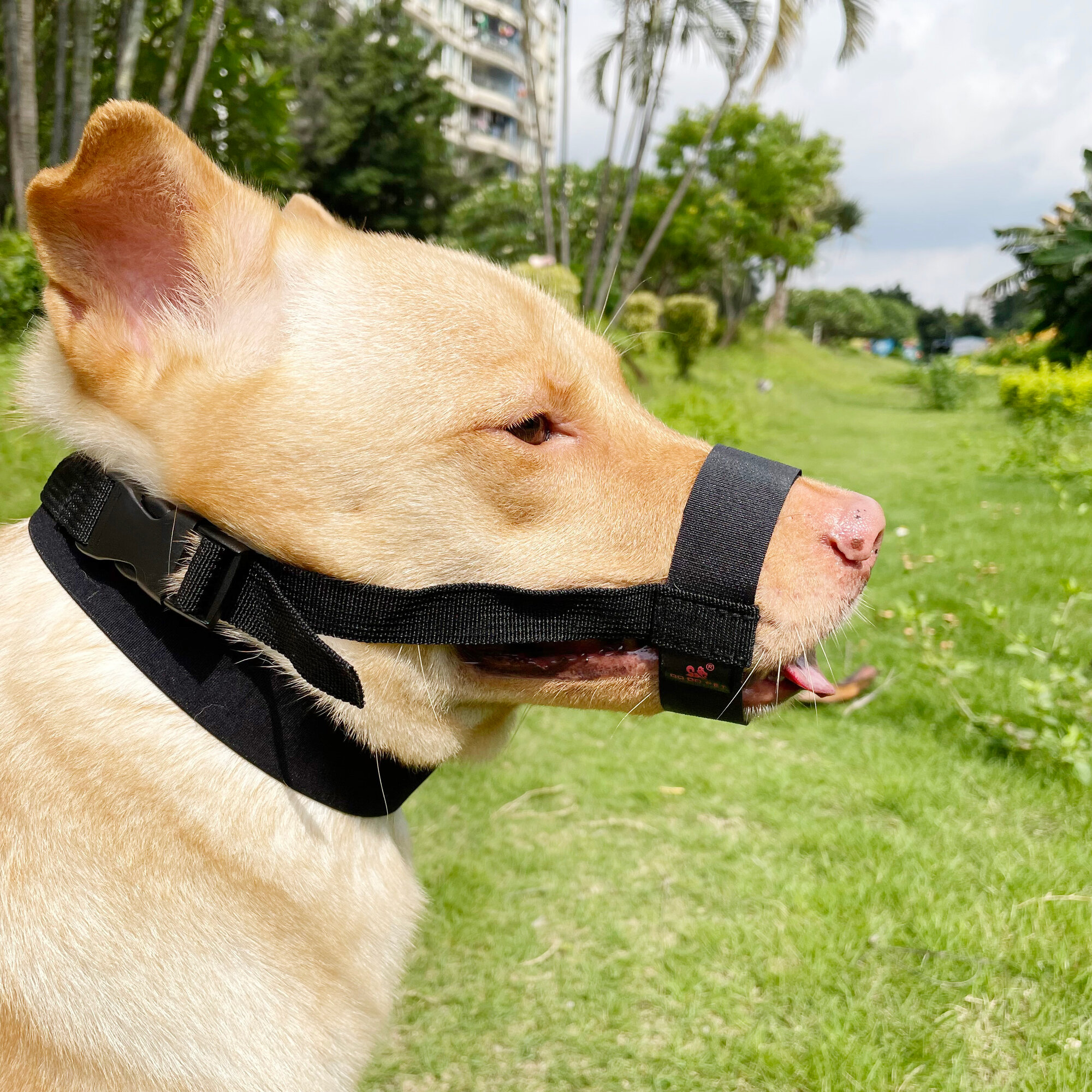 Носовой мешок для собак, анти-грызение, анти-выл, анти-еда, для маленьких, средних и больших щенков, устройство против лая, маска для короткого носа, анти-лай собак