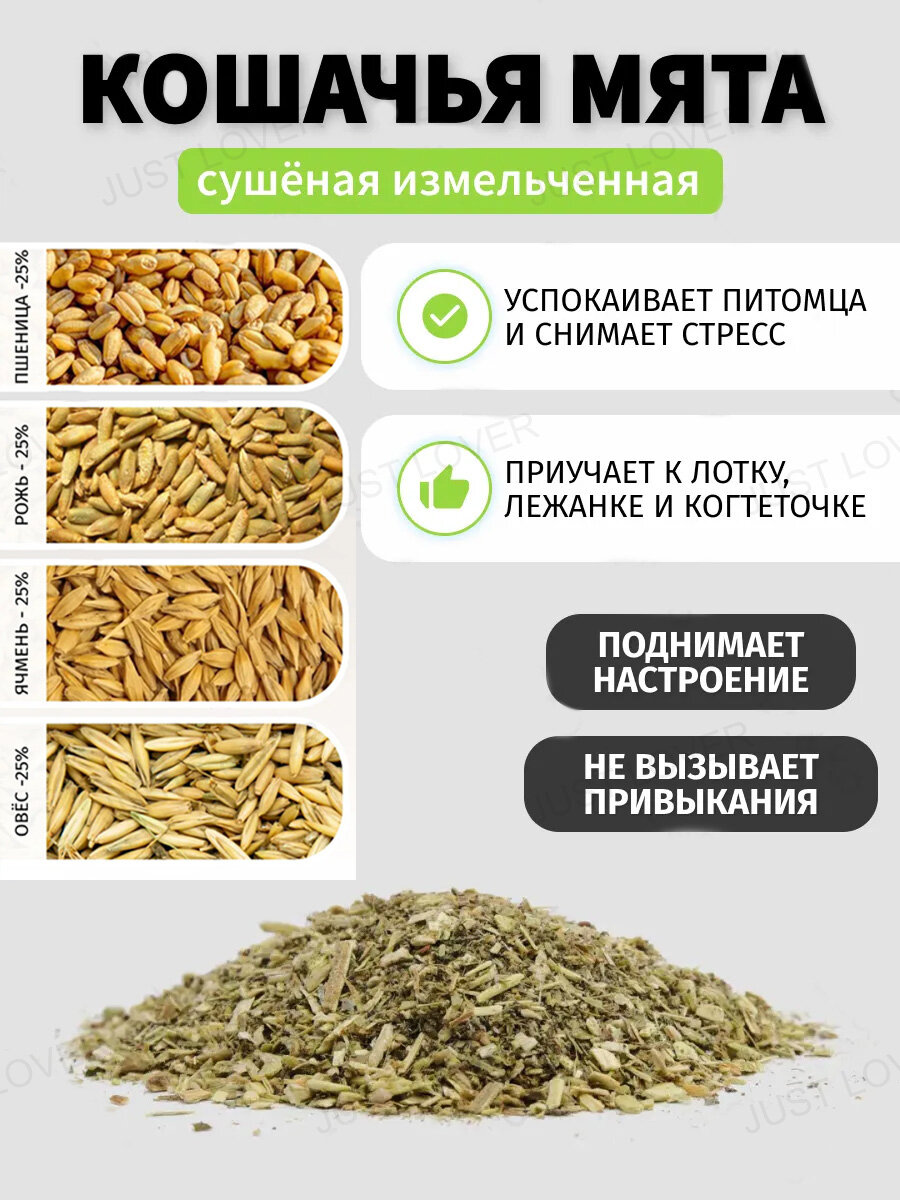 Миска для животных — фото 1