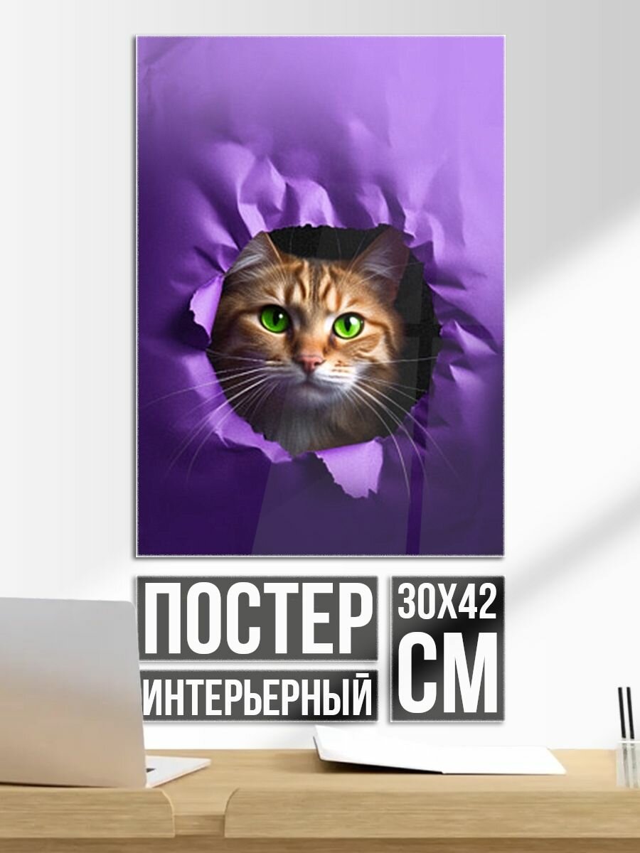 Постер на стену Котик - фиолетовый