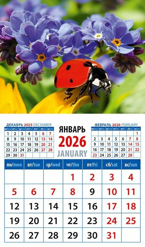 Календарь на 2026 год на магните Божья коровка
