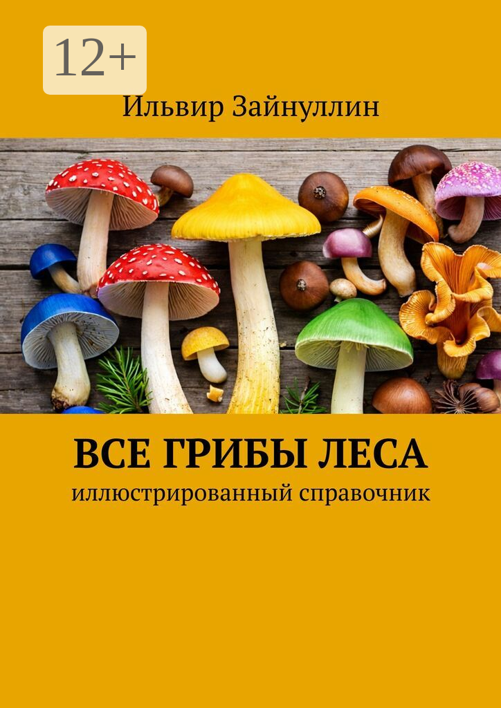 Все грибы леса