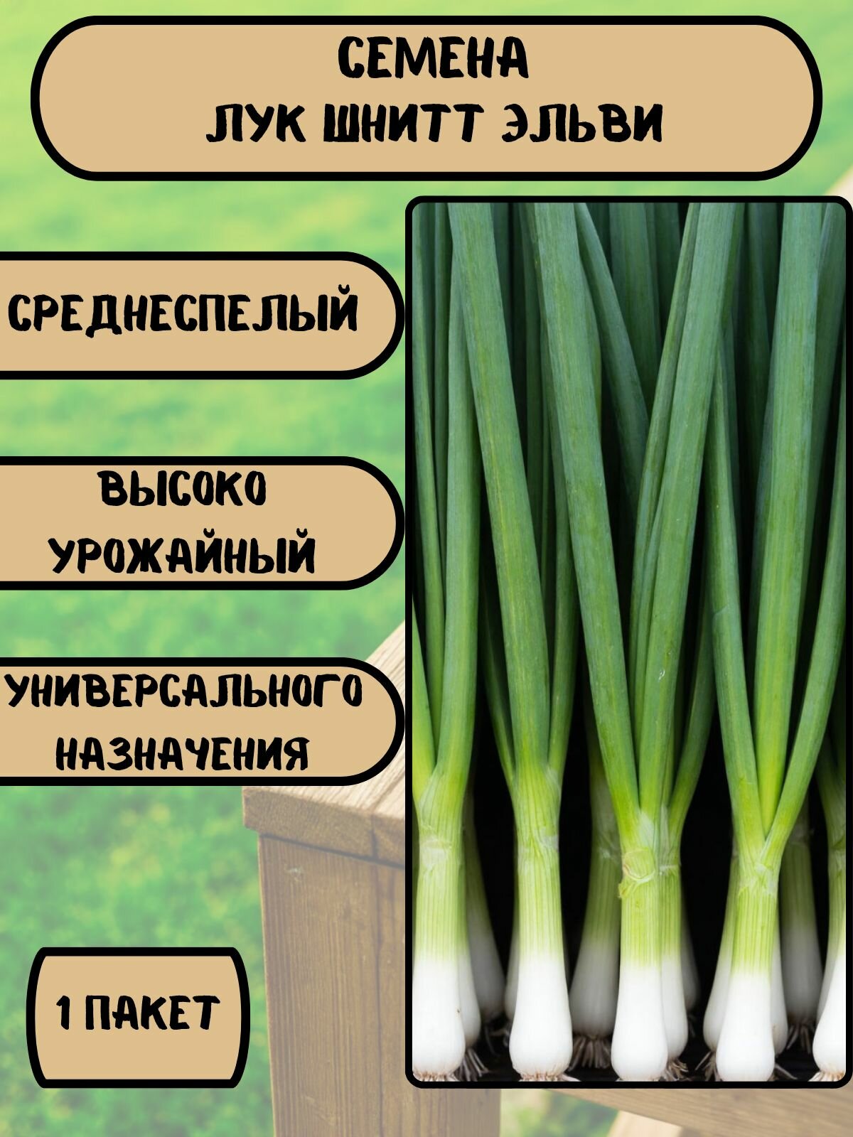 Лук шнитт Эльви, семена 10 шт