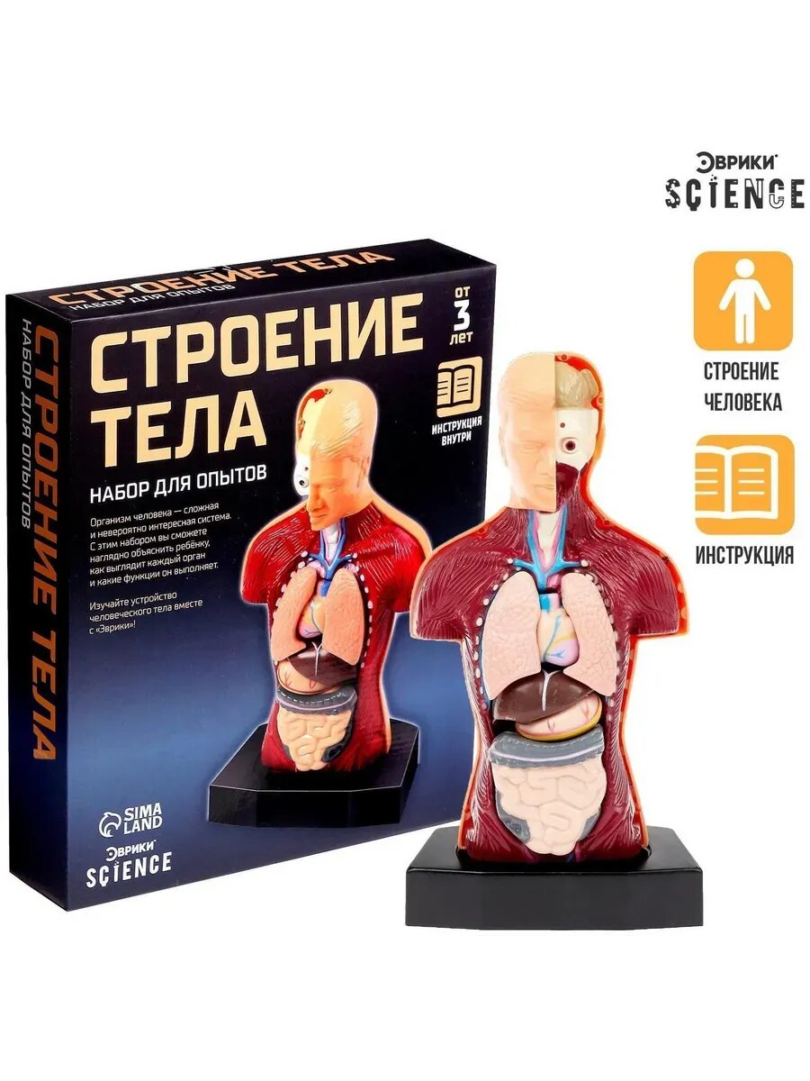 Научный опыт "Строение тела" Игровой набор Настольная игра