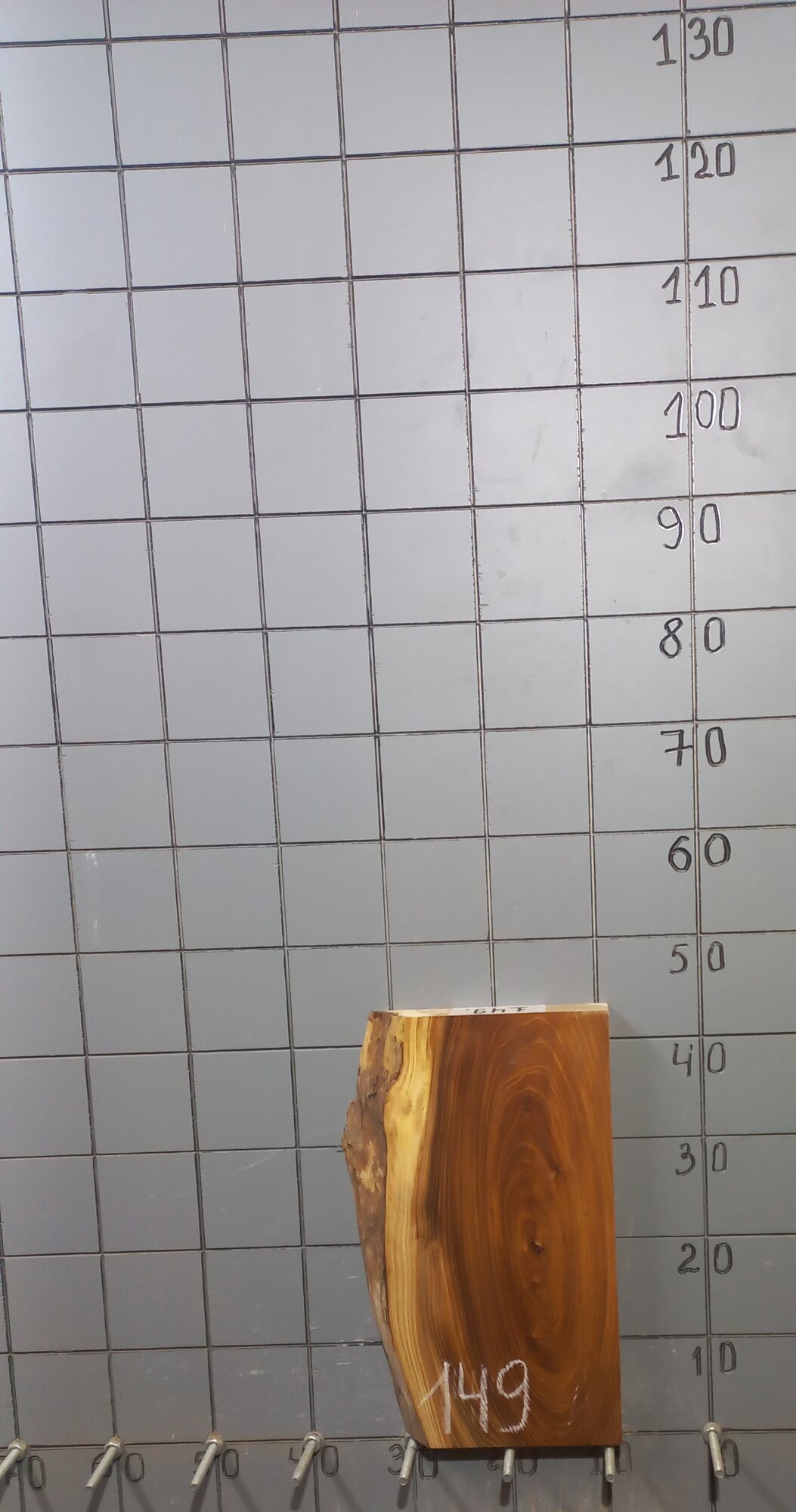 Заготовка для полки Доклес №149, карагач, цельные, сухие, 4х22х42 см