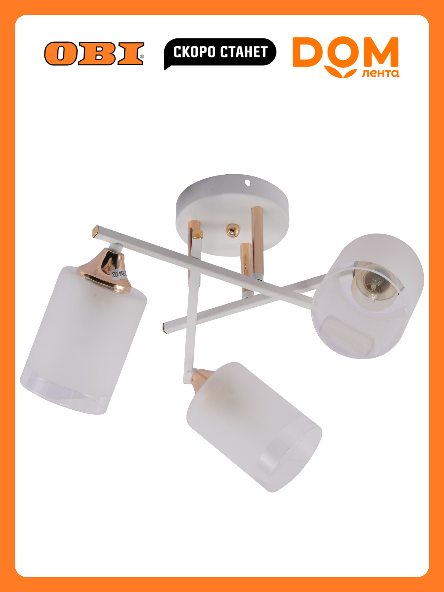 Люстра потолочная Rivoli Tammy белый