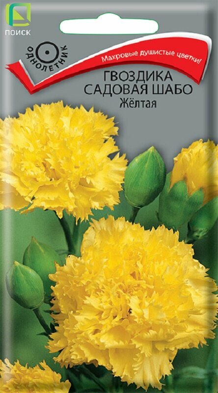 Семена цветов гвоздика садовая Шабо желтая, для дачи, сада, огорода и на рассаду
