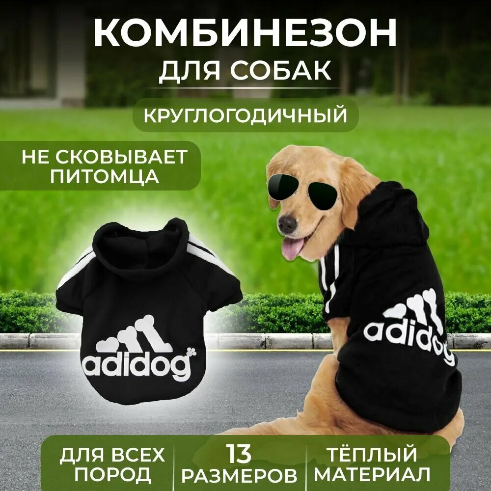 Одежда для животных