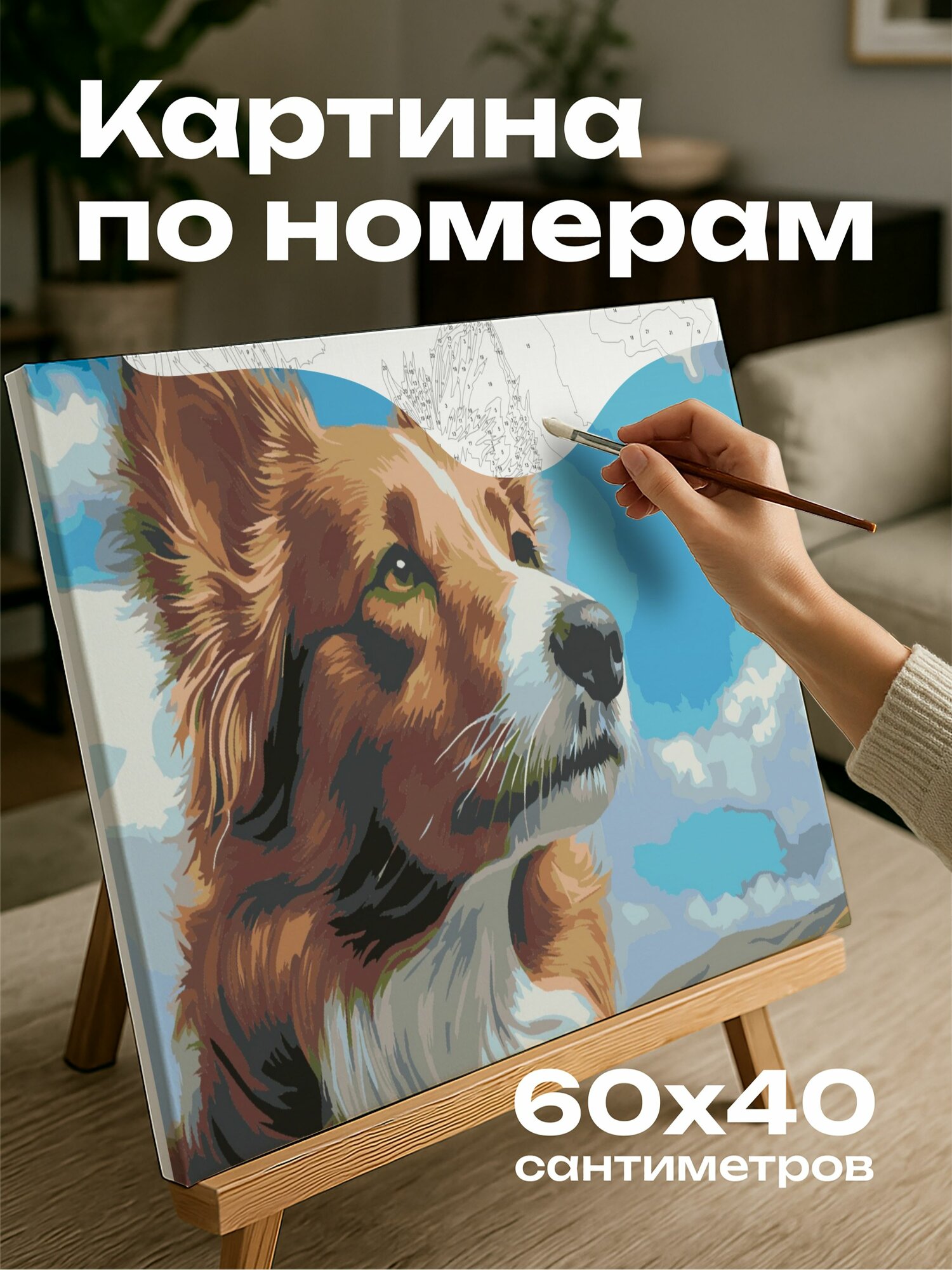 Картина по номерам 60x40 см, Колли, масляная картина, гиперреализм, шерсть, глаза, зеленые холмы, ярко-голубое небо