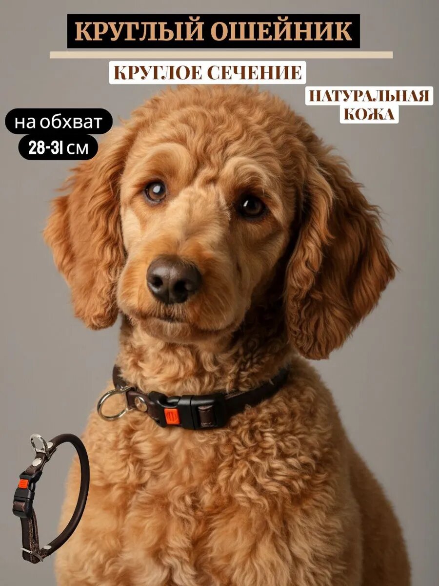 Dogbond Ошейник для шпица круглый кожаный 28-31 см