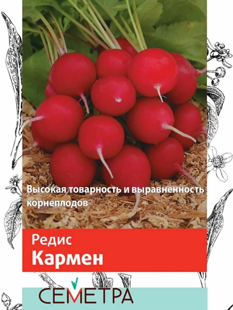Редис Кармен 3 г, Семена Поиск