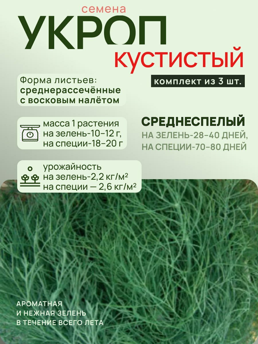 Семена укропа Агрофирма "Аэлита" "Кустистый" сорт, 3 упаковки