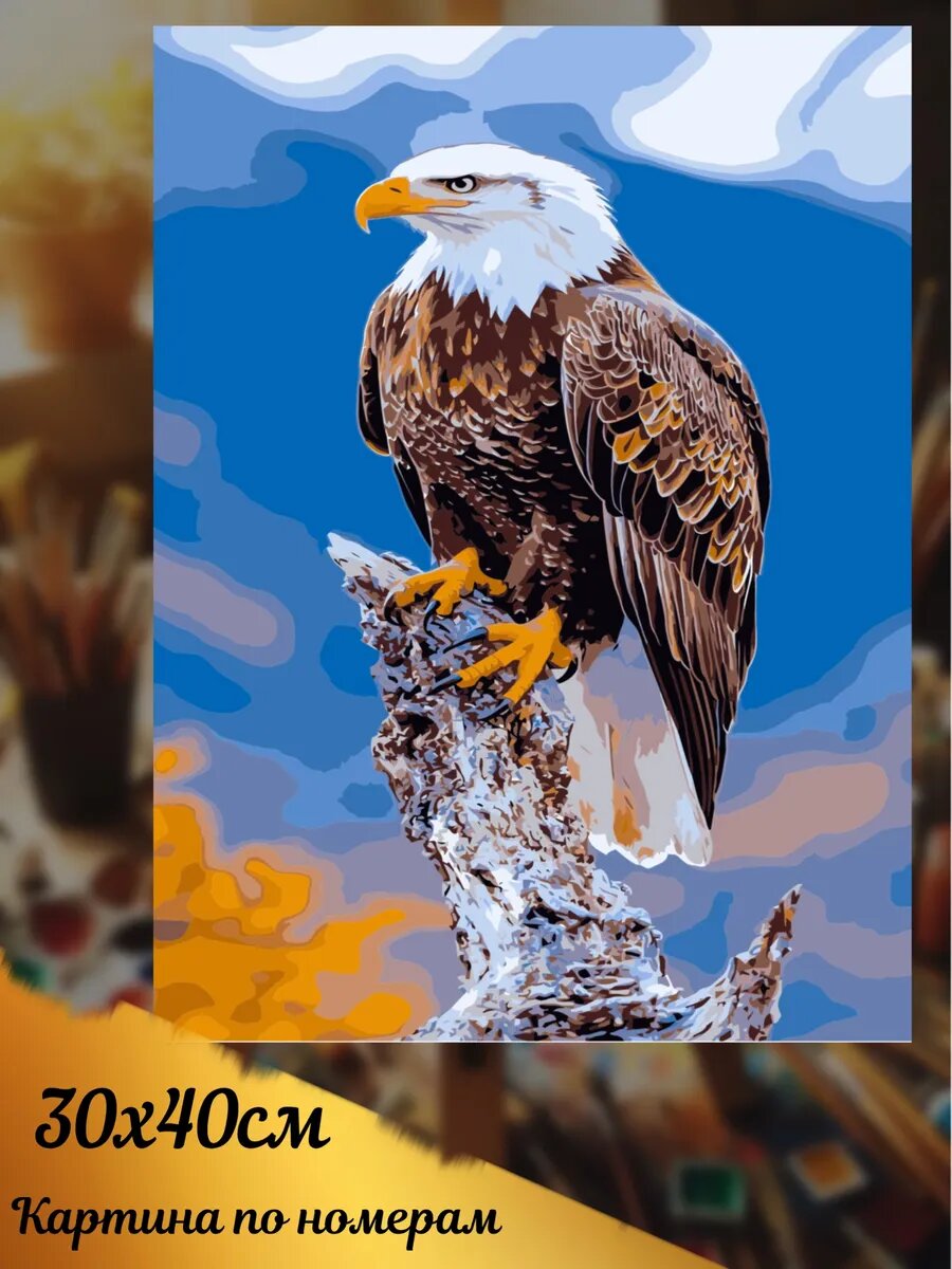 Картина по номерам орел
