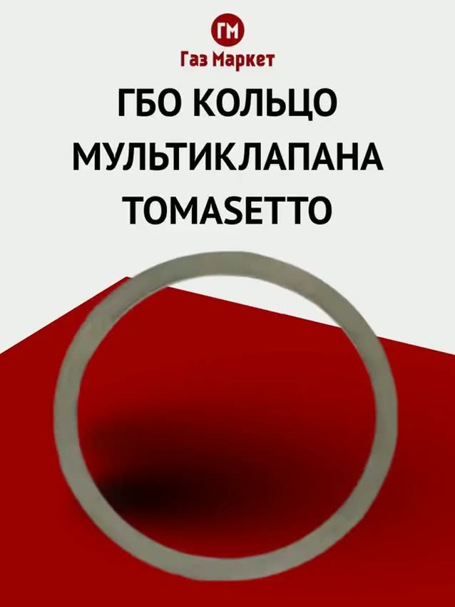ГБО Кольцо уплотнительное мультиклапана TOMASETTO — фото 1