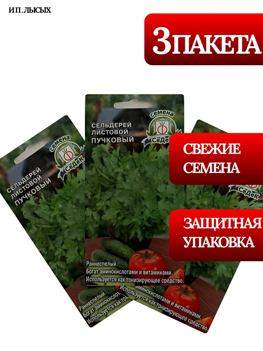 Семена Сельдерей "Пучковый"