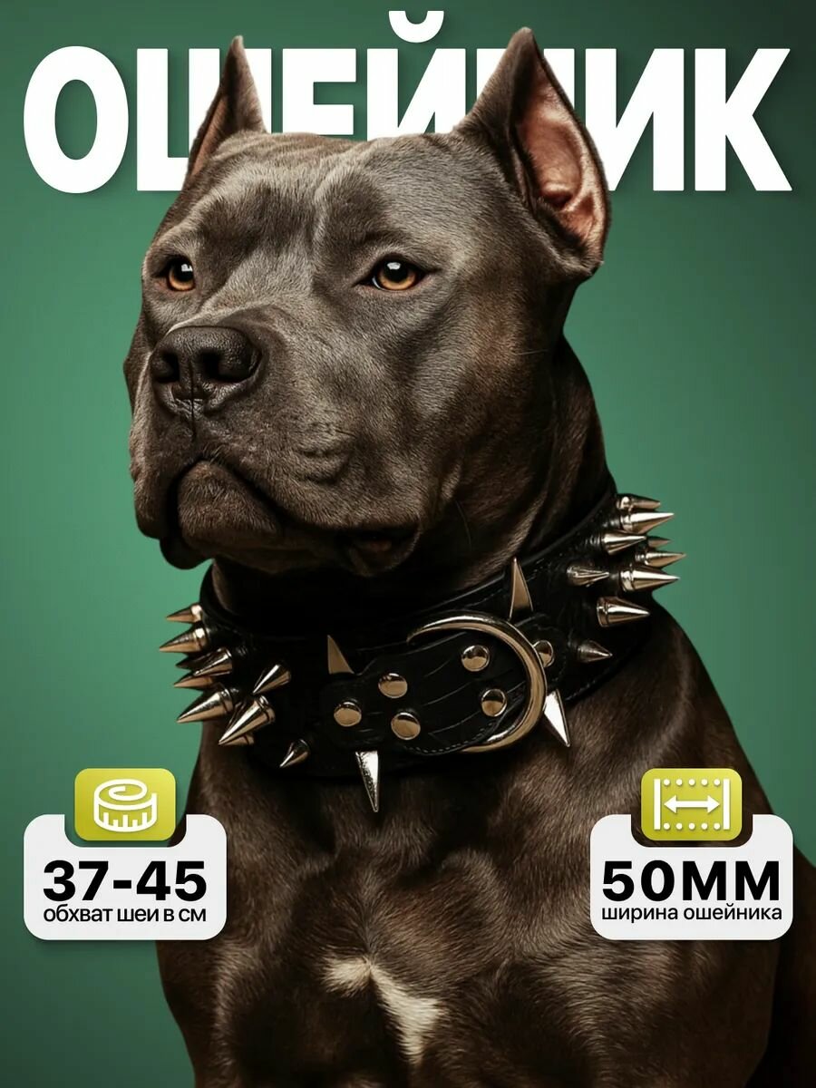 Ошейник с шипами для собак средних и крупных пород