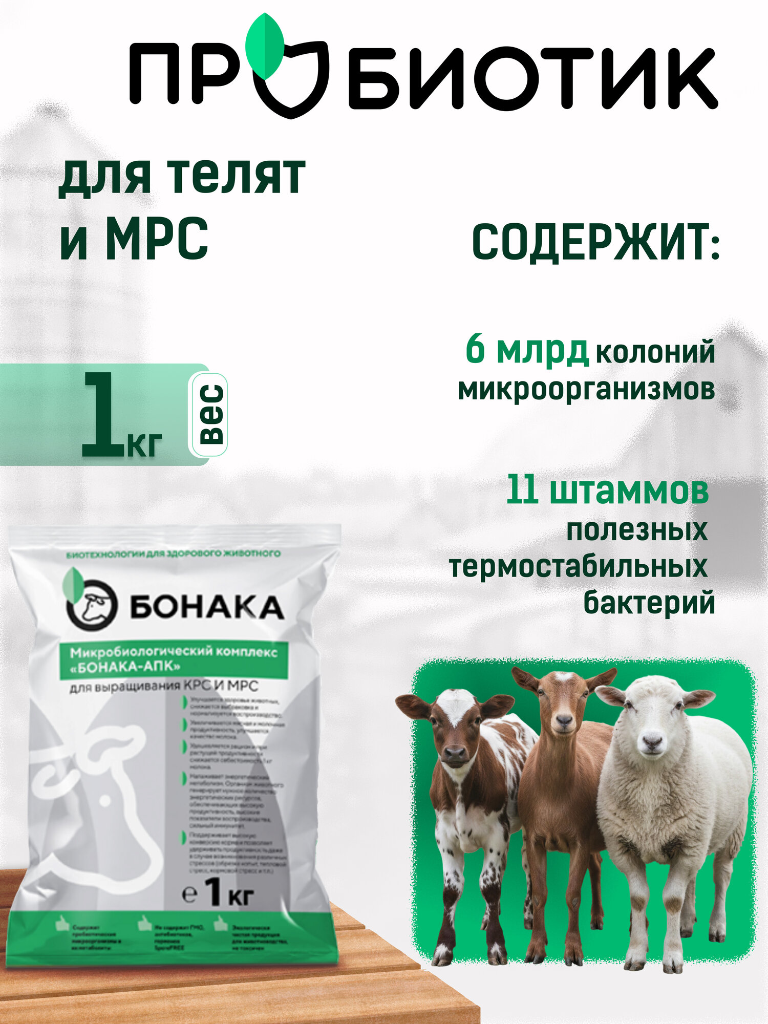 Кормовая добавка для коз и овец Пробиотик бонака-апк, сухая форма 1 кг