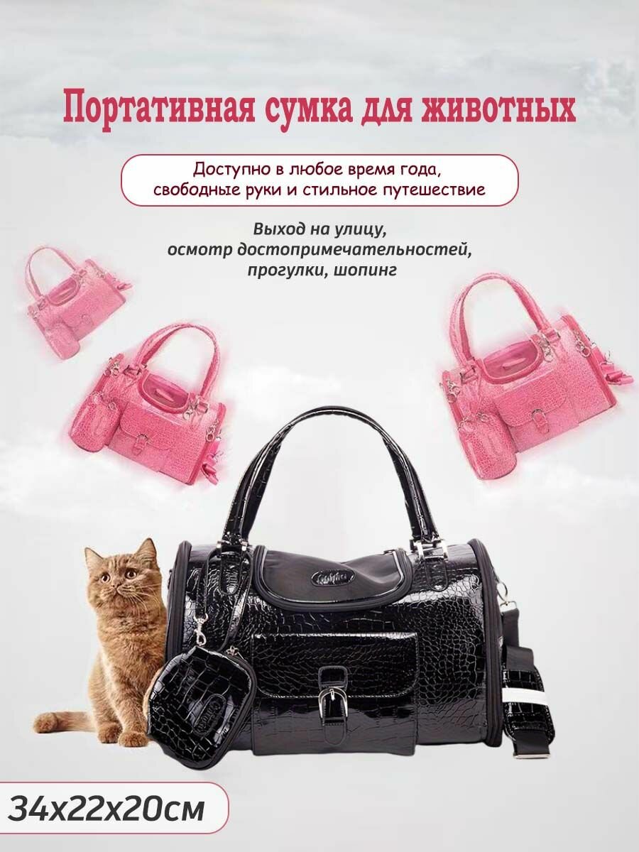 Переноска для собак мелких и средних пород Сумка-рюкзак для путешествий с вентиляционными окнами