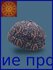 Докер