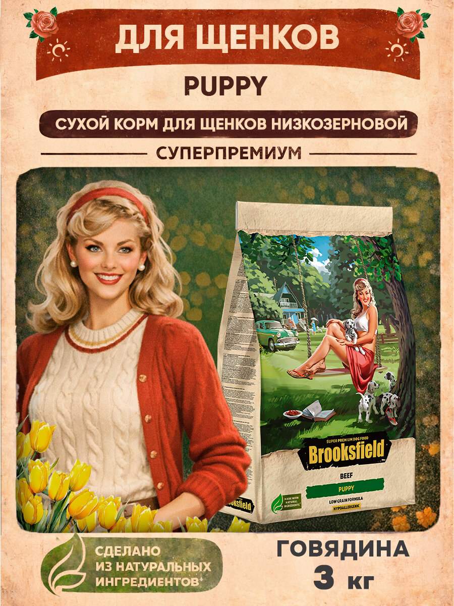 Сухой корм для щенков BROOKSFIELD (Бруксфилд) Индейка и говядина, 3 кг
