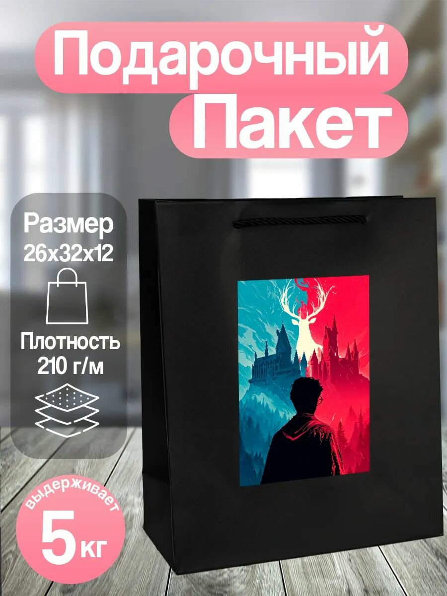 Пакет подарочный Гарри Потер
