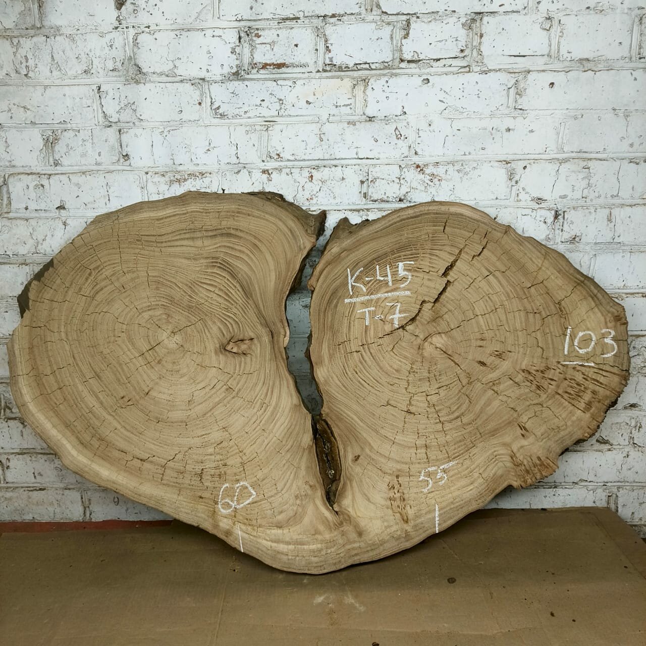 Торцевой спил дерева Карагач К-45, диаметр 60-103 см, выровнен в плоскости.