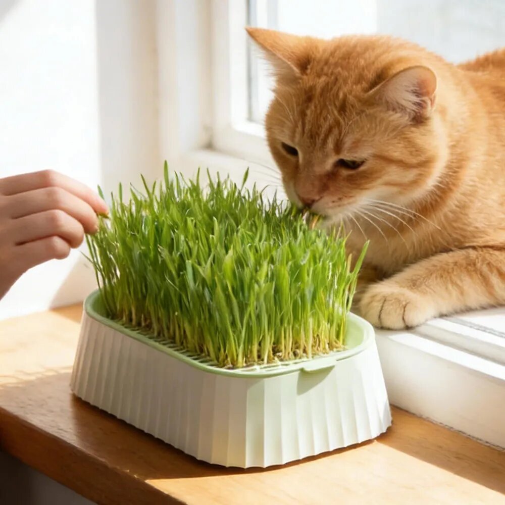 Каркас для укрытия растений мини EL2254702, EVA