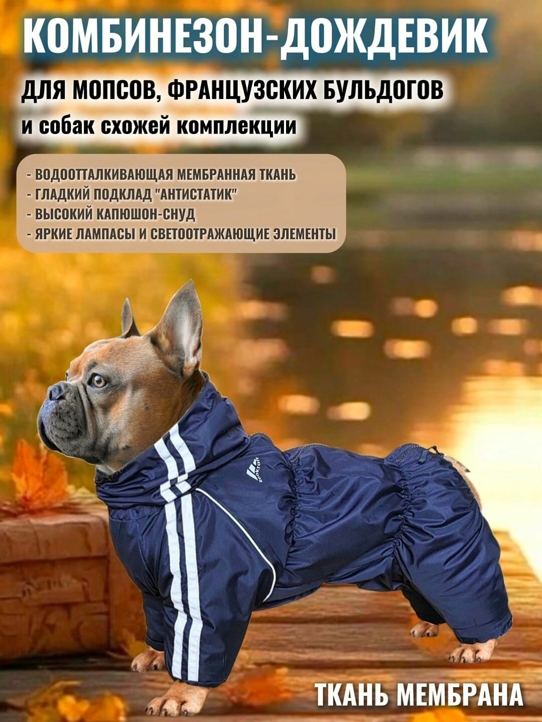 Комбинезон-дождевик на мембране для собак: французских бульдогов, мопсов, синий, ФР-1