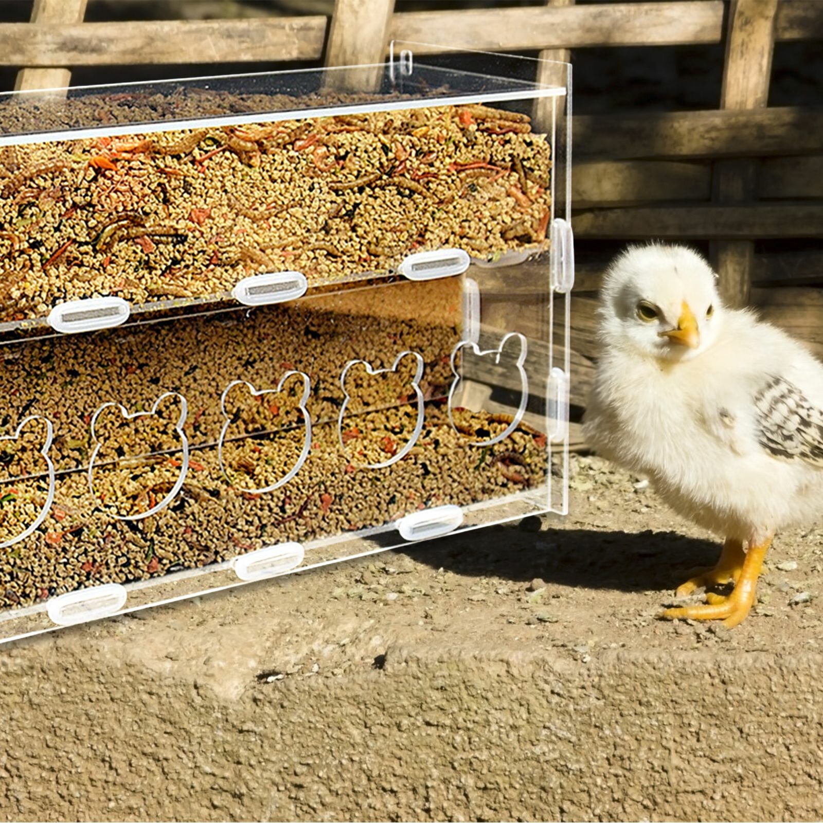 Автоматическая кормушка из прозрачного акрила для кур, птиц и мелких домашних животных