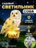 Фигурка садовая-LD
