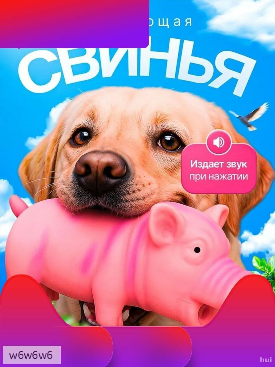 Хрюкающая свинья