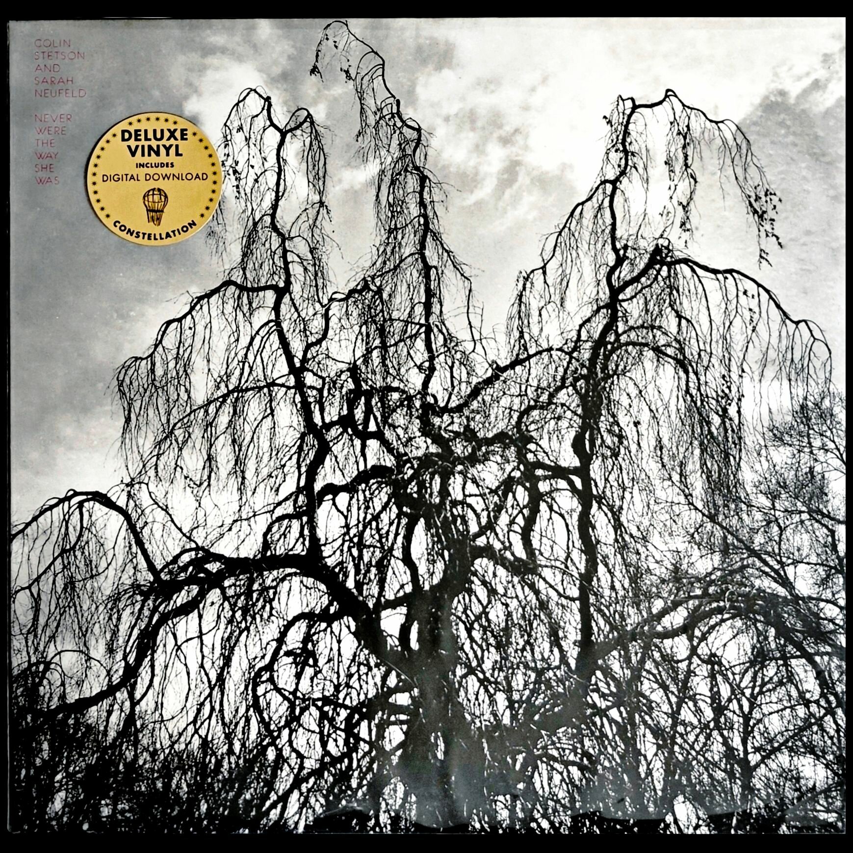 Виниловая пластинка Colin Stetson & Sarah Neufeld - Never Were The Way She Was (LP, 2015, Constellation)