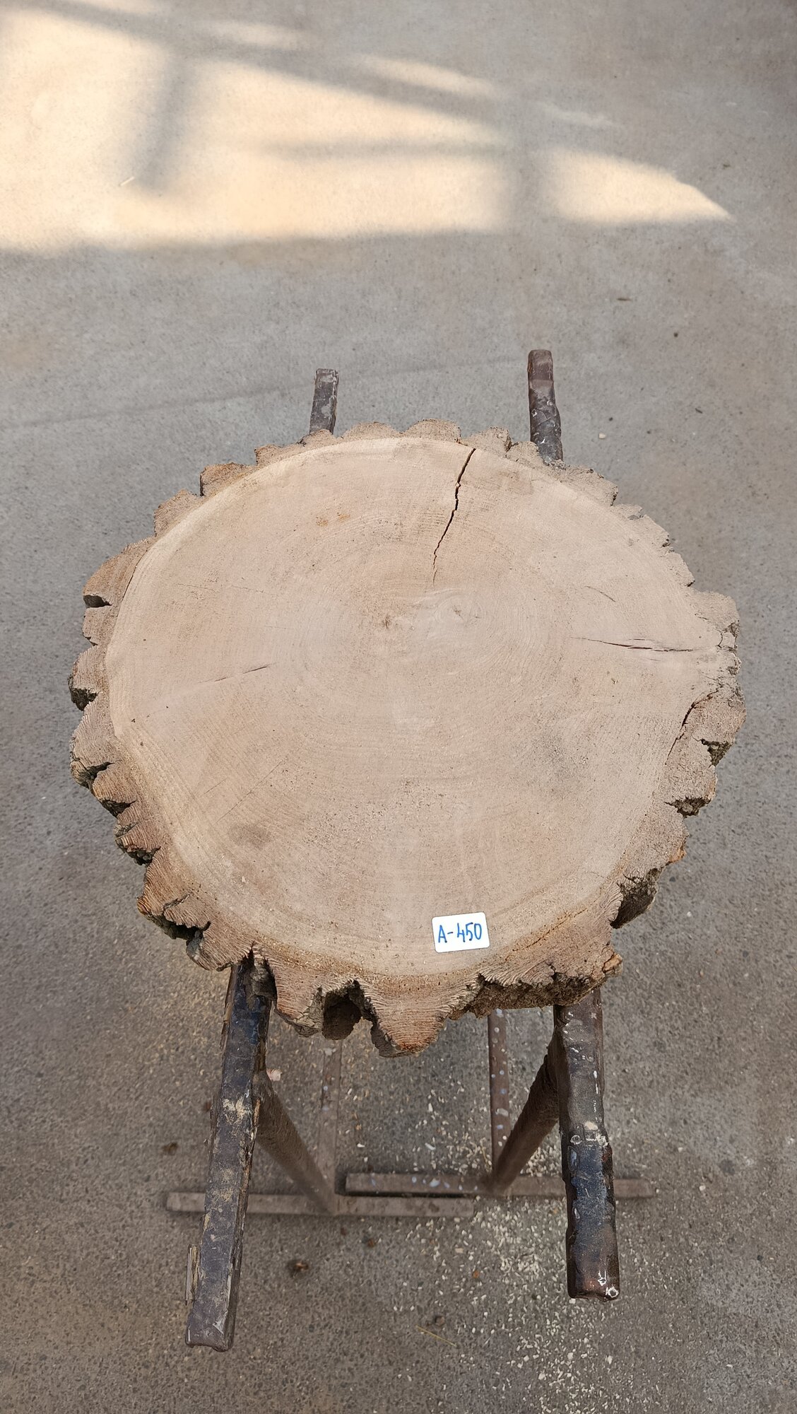 Спил из карагача, 47х42х10см (А450) высушенный , влажность 8-10%, не фрезерован, не шлифован