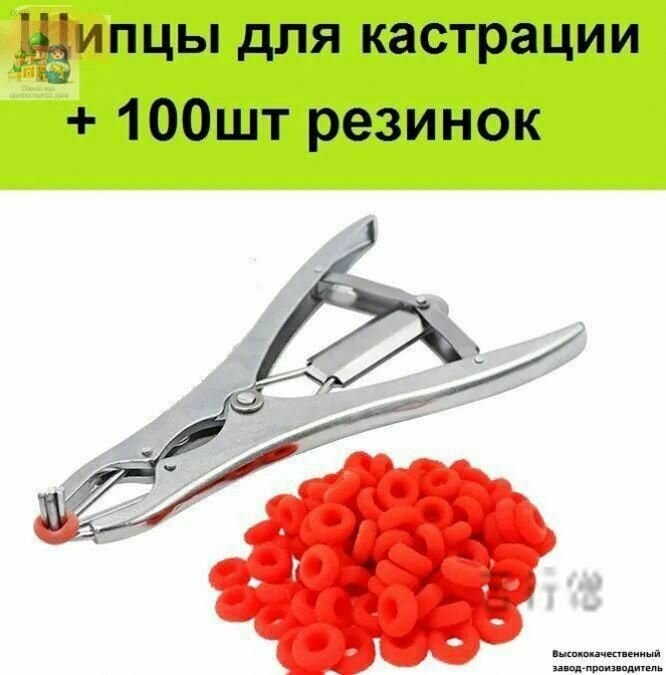 Shchipty natiazhnyye dlya kastratsii s 100 koltsami rezinkami dlya ovets i koz novaya model 2025 1 sht