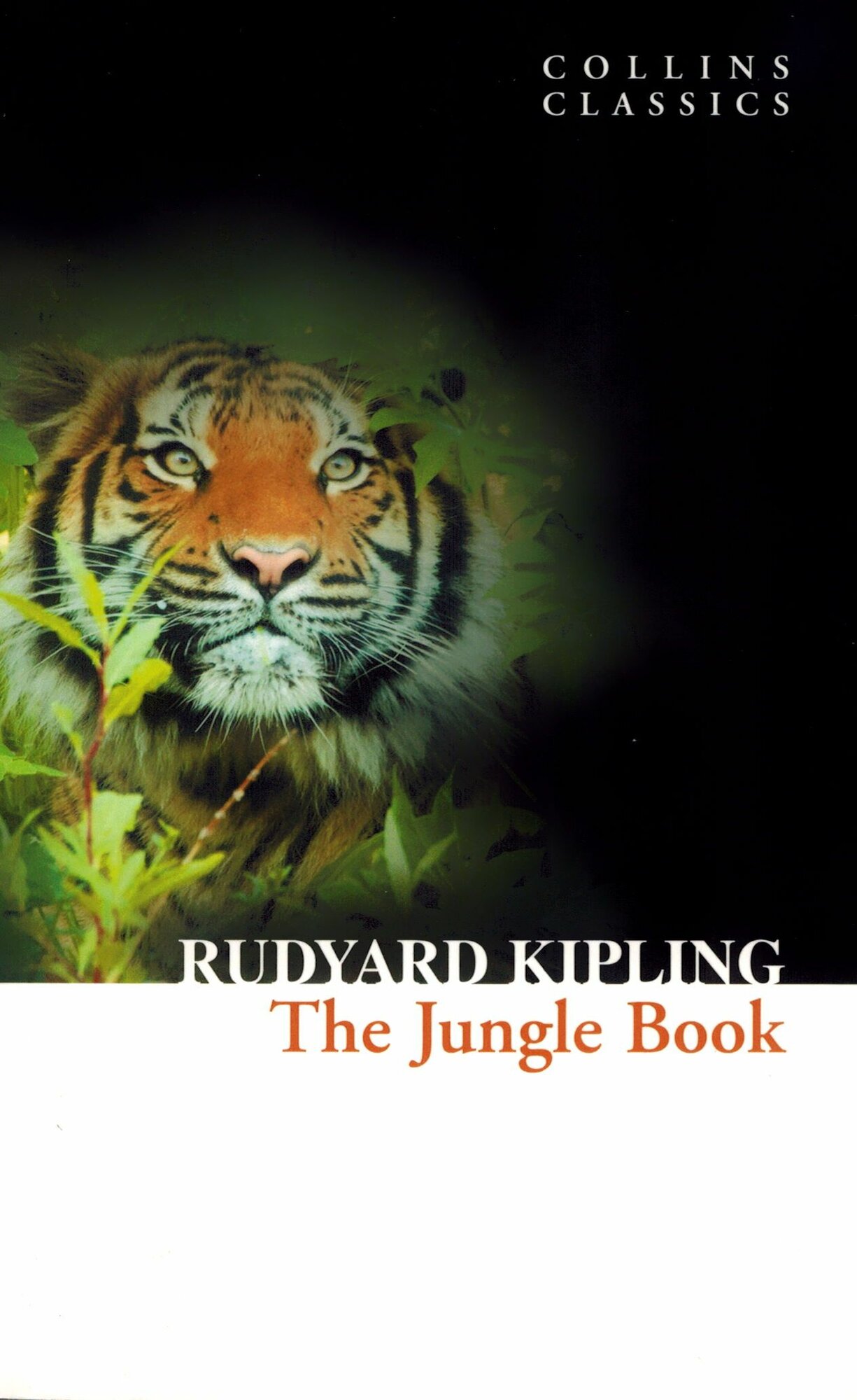 Jungle Book / Книга джунглей