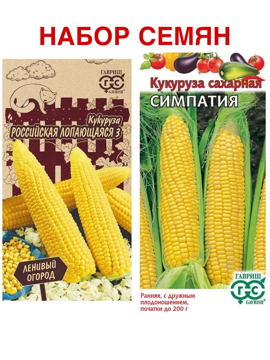 Набор семян Гавриш две упаковки: Кукуруза Российская 5г и Симпатия 5г