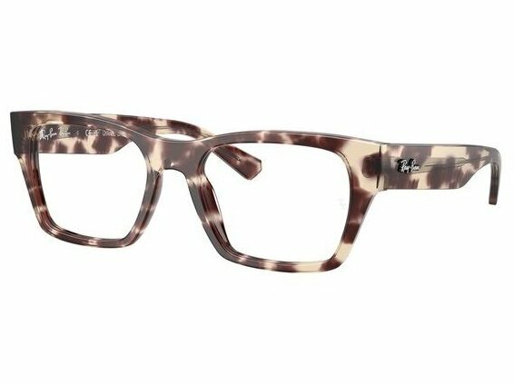 Ray-Ban 0RX5448 / 53 8460