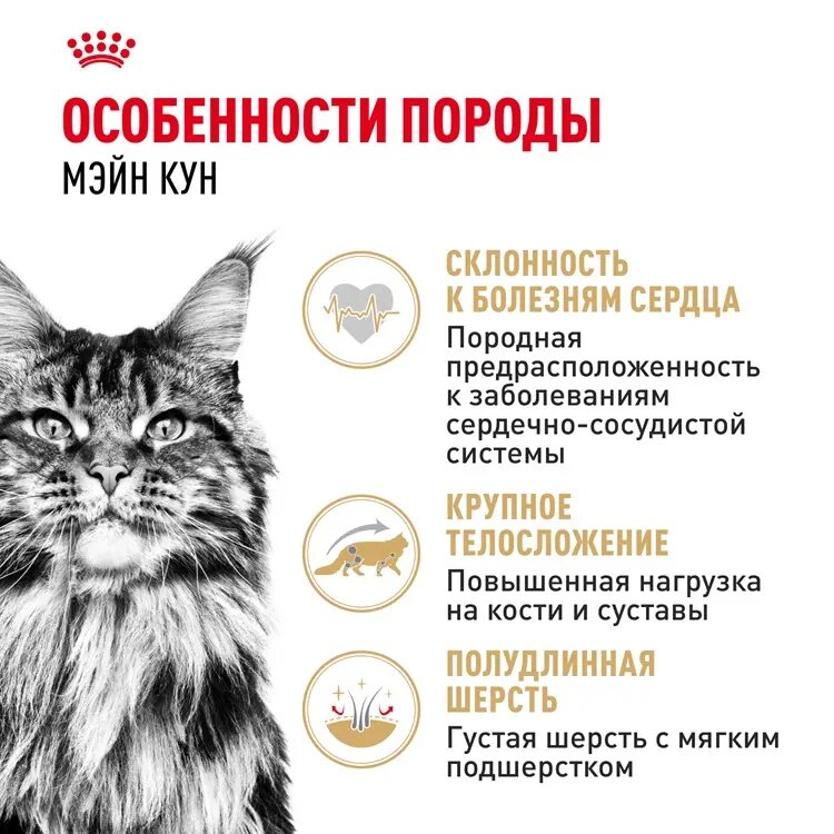 ROYAL CANIN Maine Coon Корм сухой для кошек породы Мейн-Кун, 400 г