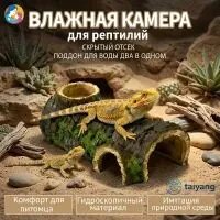 Влажная камера для рептилий /укрытие для рептилий, декор для террариума
