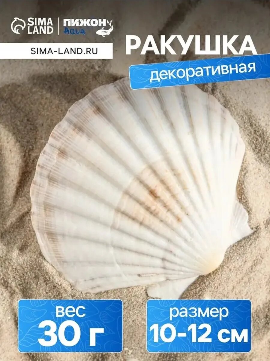 Декоративная ракушка для аквариума