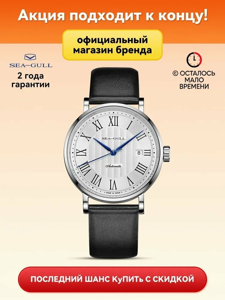 SEA-GULL Часы наручные Механические 819.11.6162