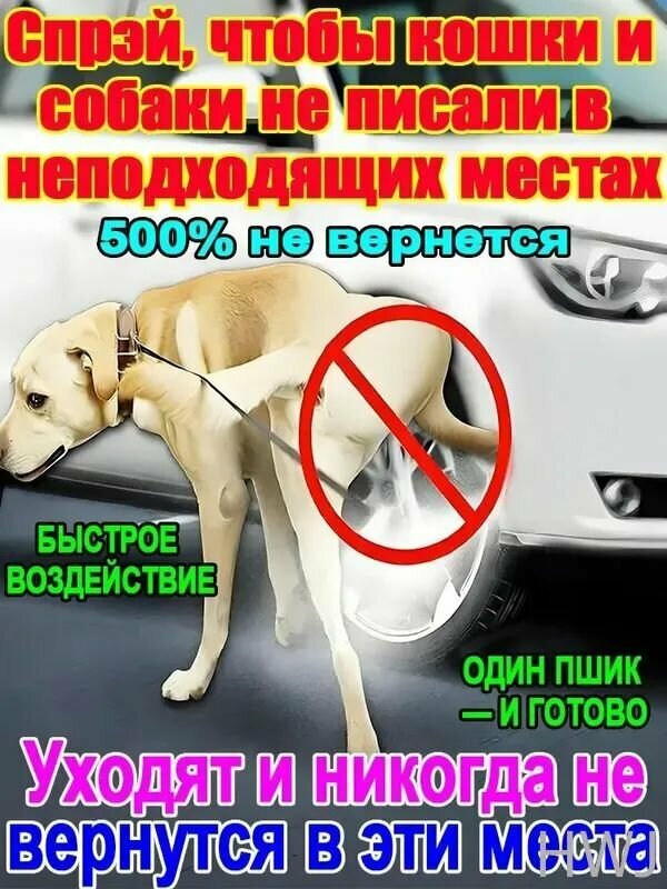 Спрей-отпугиватель для кошек и собак "Антигадин" защита мебели и ковров от меток и царапания. Натуральный состав, мгновенное действие.