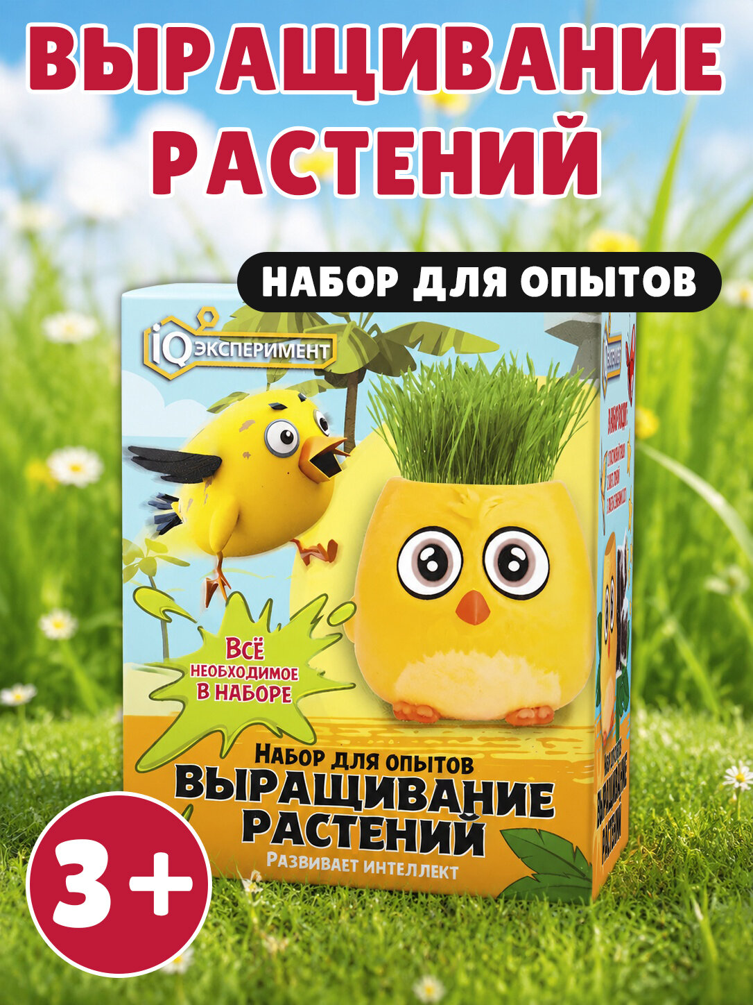 IQ Эксперимент Набор для опытов "Выращивание растений"