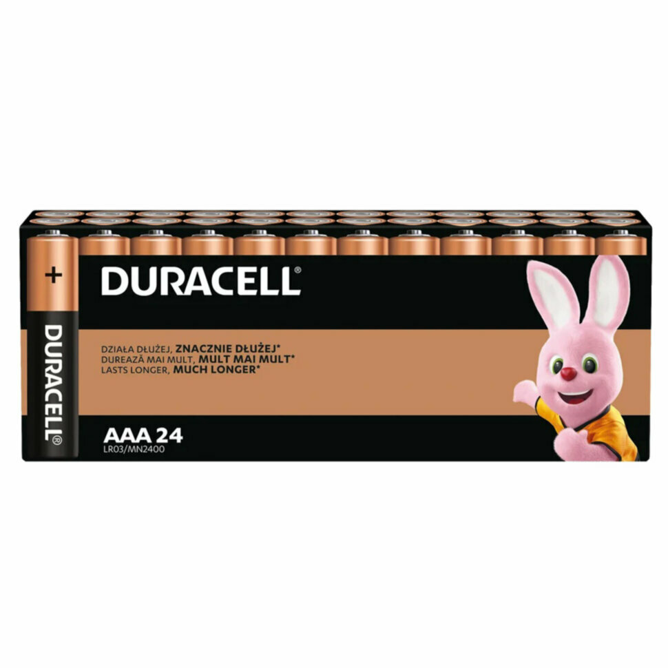 Батарейки комплект 24 шт, DURACELL Basic оригинал, ААА (LR03, 24А), алкалиновые, мизинчиковые, Б0064969, 456994